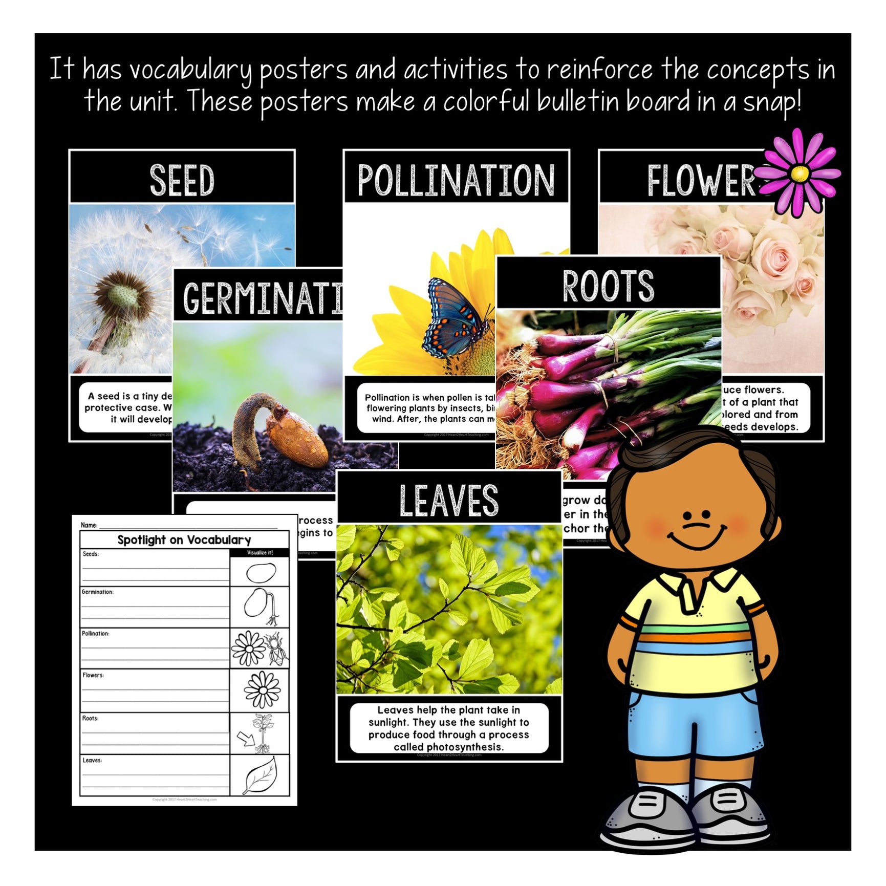 From Seed to Sprout: The Life Cycle of a Plant Activity Pack – Heart 2 ...