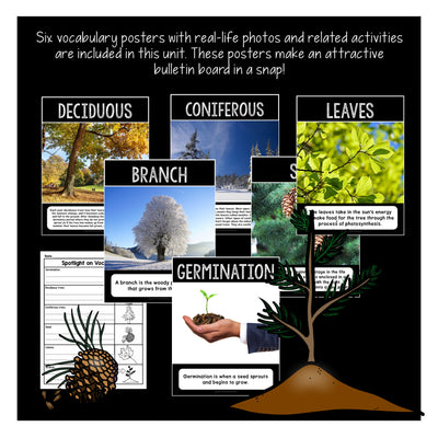 All About Trees Unit: Deciduous and Coniferous – Heart 2 Heart Teaching