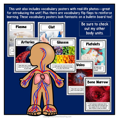 Human Body Systems: Let's Explore Our Circulatory System – Heart 2 ...