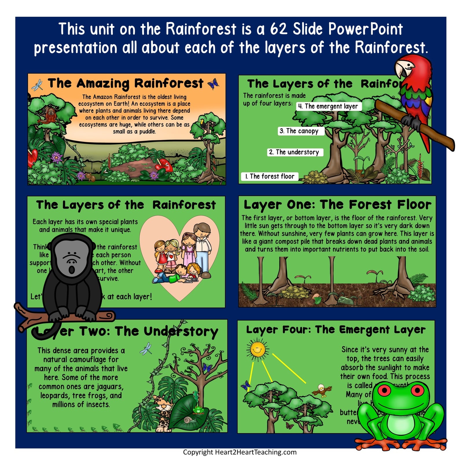 Let's Learn All About the Amazon Rainforest PowerPoint – Heart 2 Heart ...