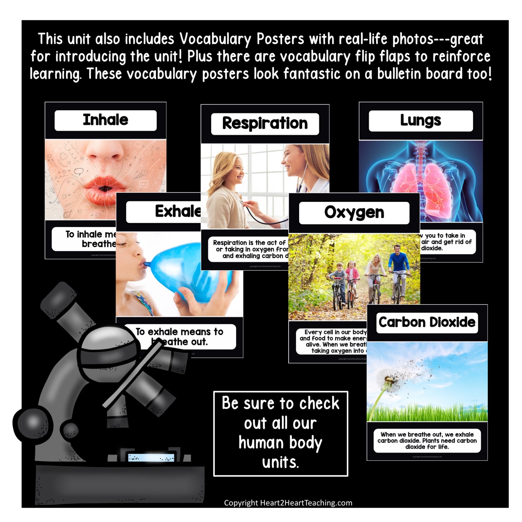 Human Body Systems: Let's Explore our Respiratory System – Heart 2 ...