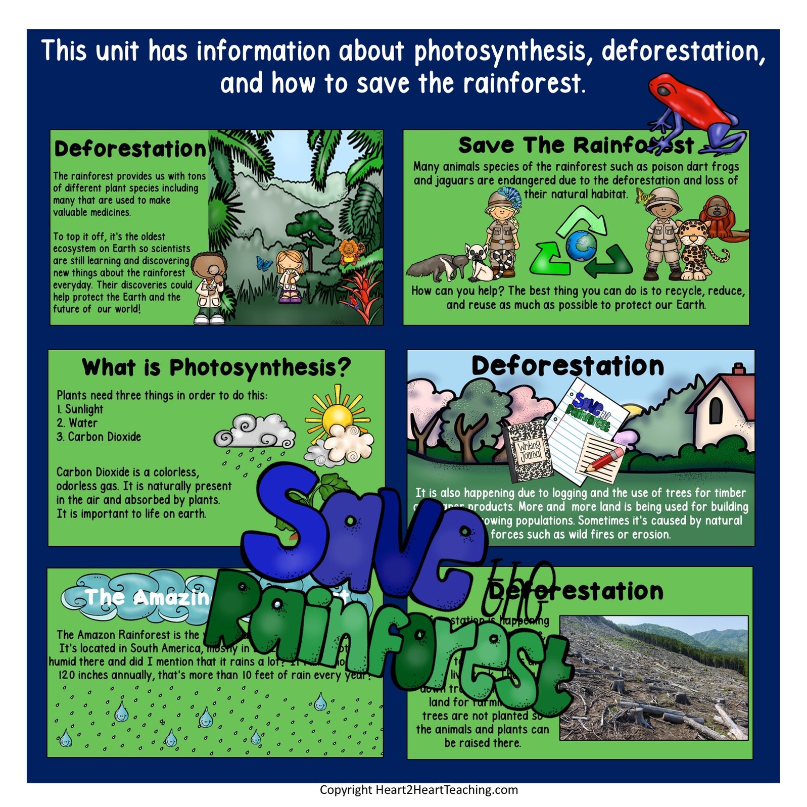 Let's Learn All About the Amazon Rainforest PowerPoint – Heart 2 Heart ...