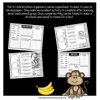 Animal Classification Unit with Mammals, Birds, Fish, Reptiles, and Am ...