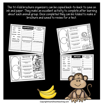 Animal Classification Unit with Mammals, Birds, Fish, Reptiles, and Am ...