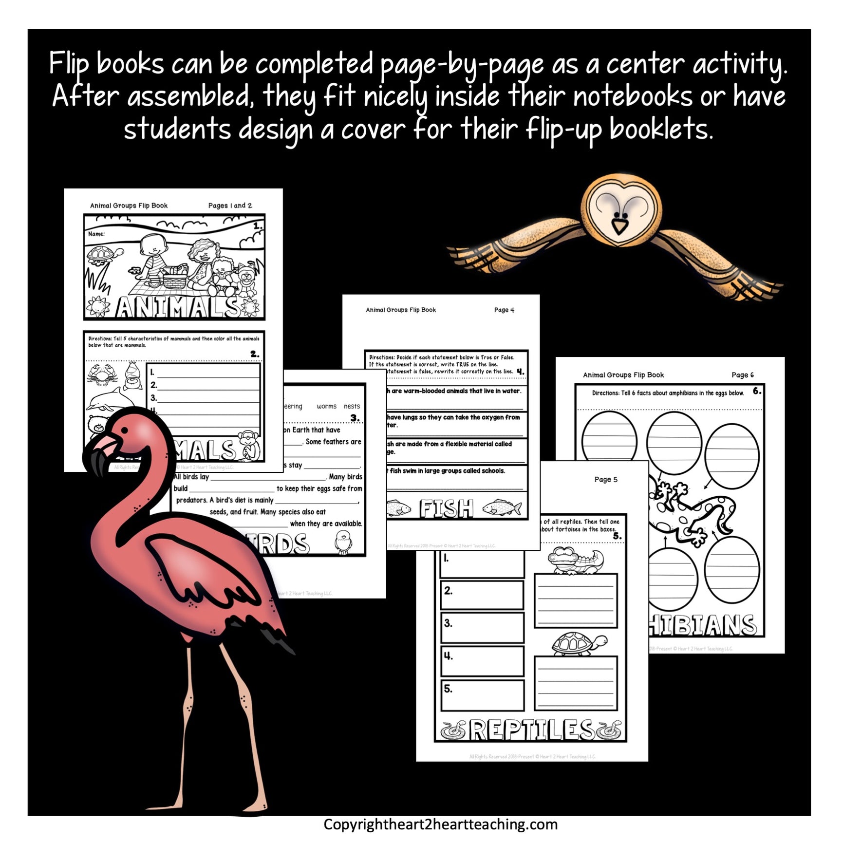 Animal Classification Unit with Mammals, Birds, Fish, Reptiles, and Am ...